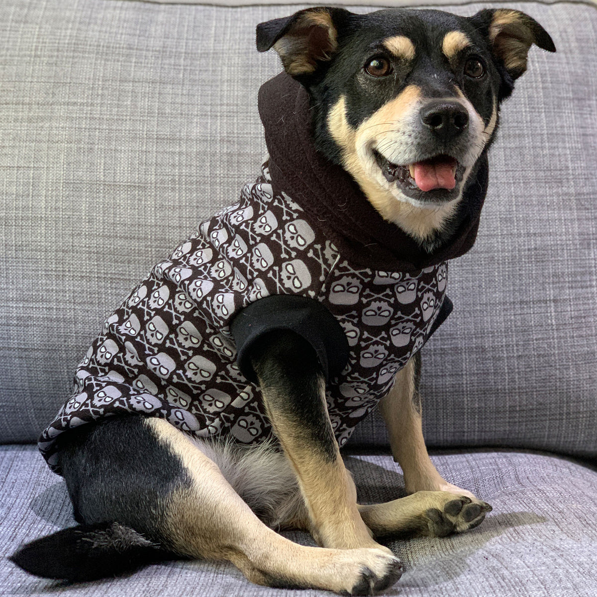 Smooth Criminal - Dog Hoodie– The Sophisticated Pet